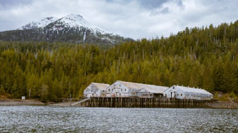 Our Story | Experience Alaska Tours | Ketchikan, AK